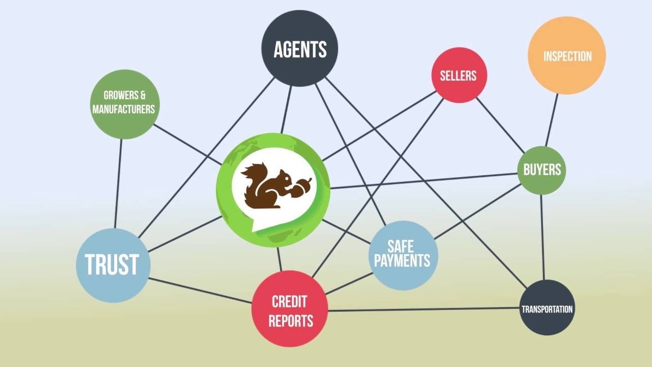 Infographic explainer video - YouTube