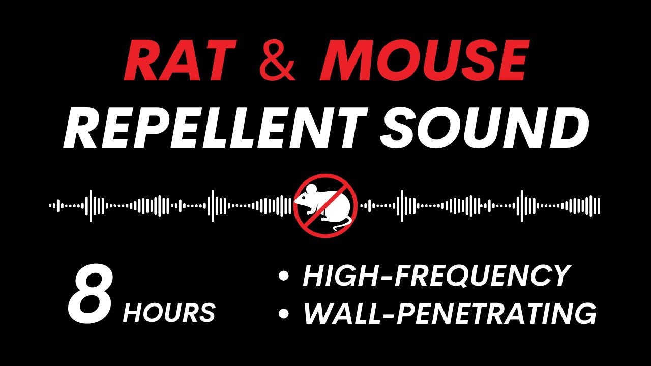 Ultrasonic Rat & Mouse Repellent | Effective Wall-Penetrating Sound | 8 ...