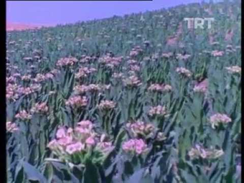 Diyarbakır Tarihi Görüntüler #7 - Silvan İlçesi (1985)