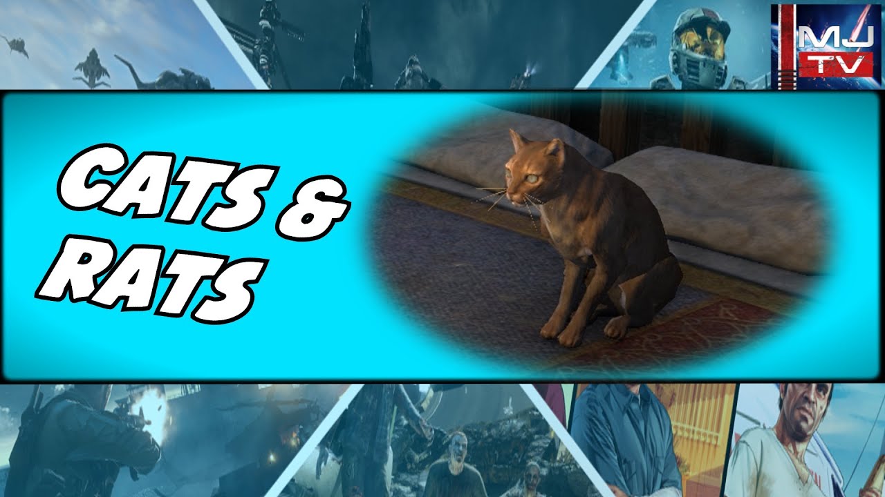 ESO: PET CATS & RATS (The Elder Scrolls Online Ultra 1080p) - YouTube