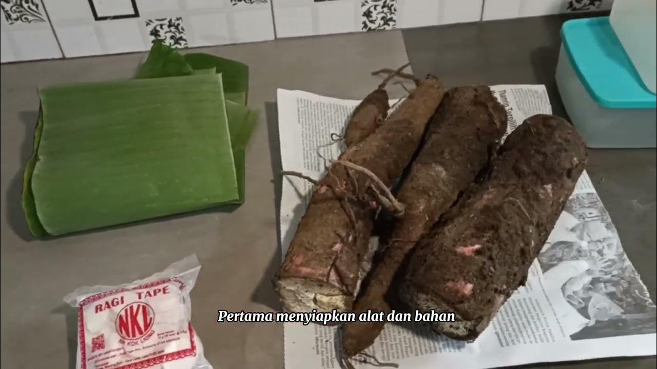 PROSES PEMBUATAN TAPE SINGKONG_BIOTEKHNOLOGI KONVENSIONAL - YouTube