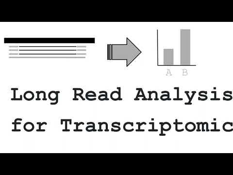 L-RAPiT: Long Read Analysis Pipeline for Transcriptomics - QUICK START - YouTube