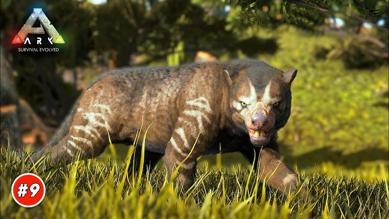 VERY DIFFICULT TO TAME THYLACOLEO || ARK SURVIVAL EVOLVED GAMEPLAY #9 ...