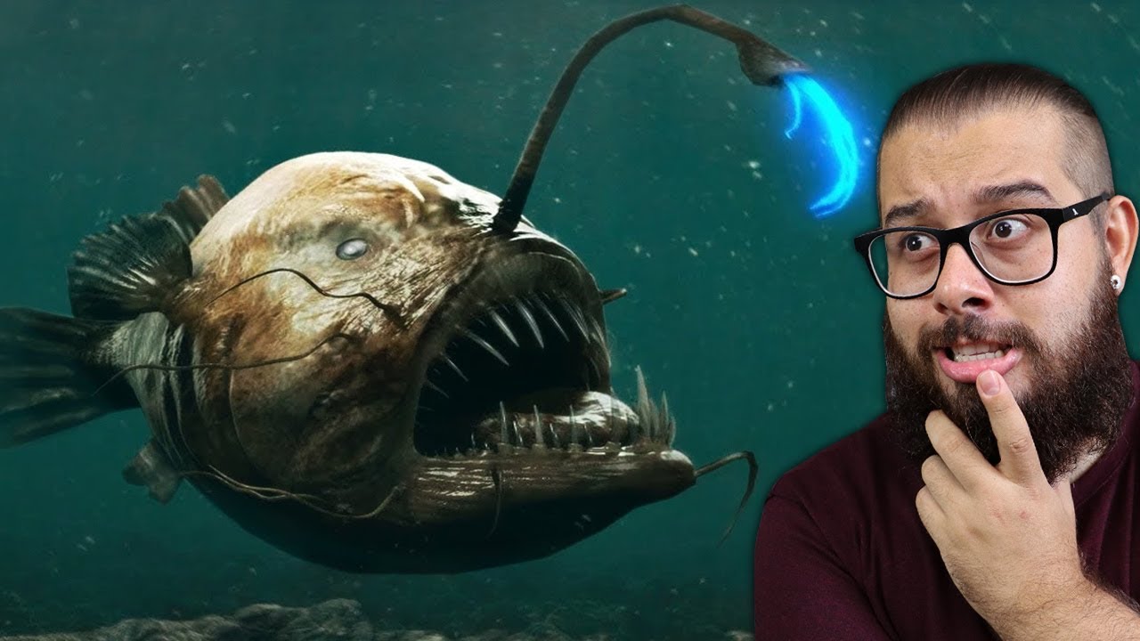 Monstros marinhos que você NUNCA viu antes - YouTube