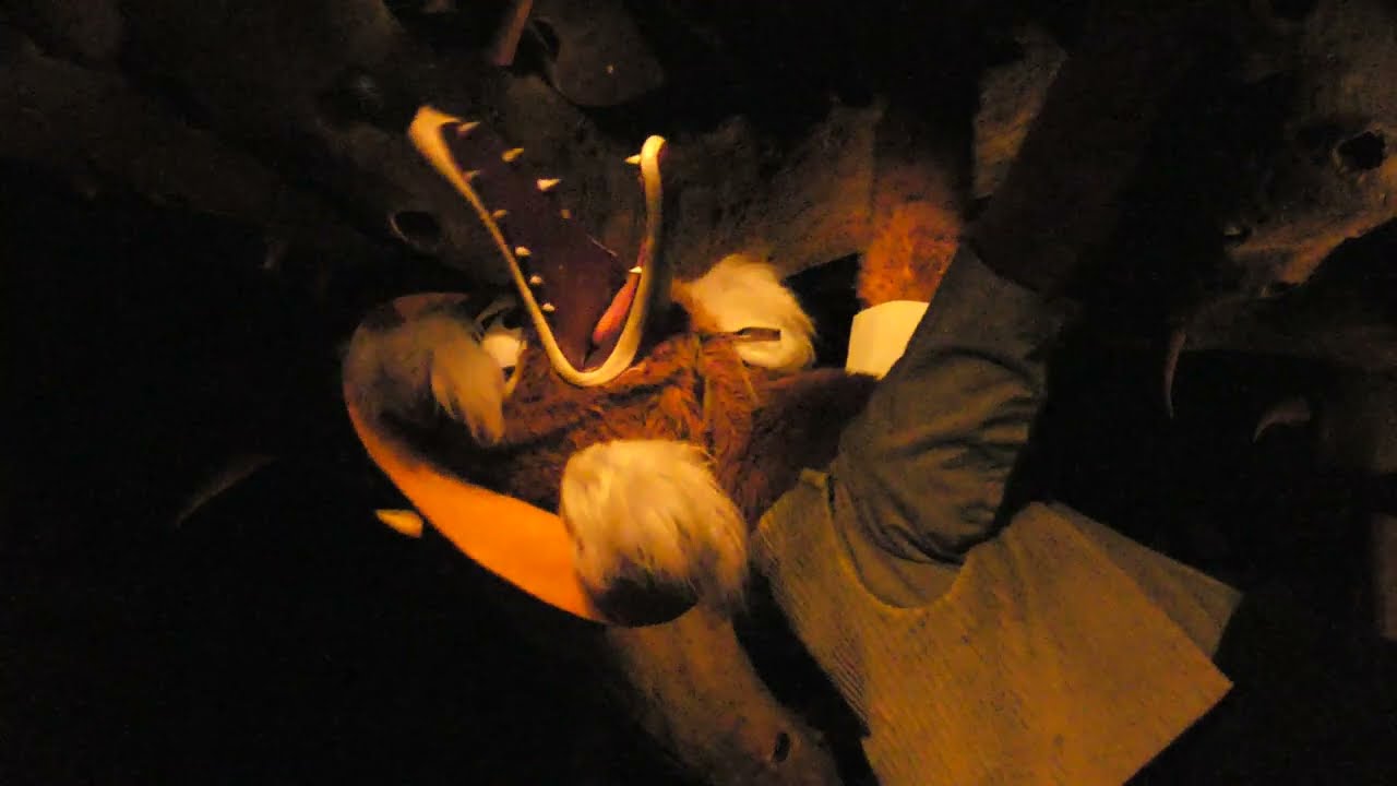 Finale Brer Fox Animatronic- Disneyland Splash Mountain - YouTube