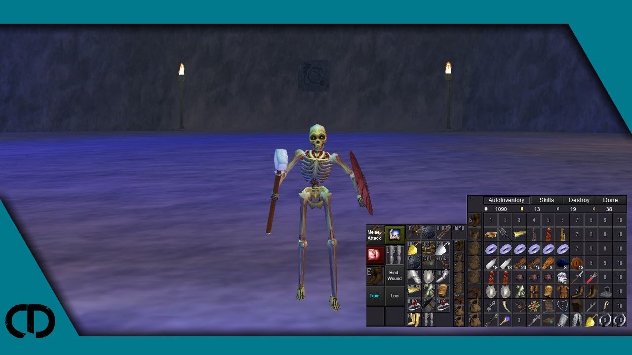 P99 Corelion: Equipment Overview - YouTube