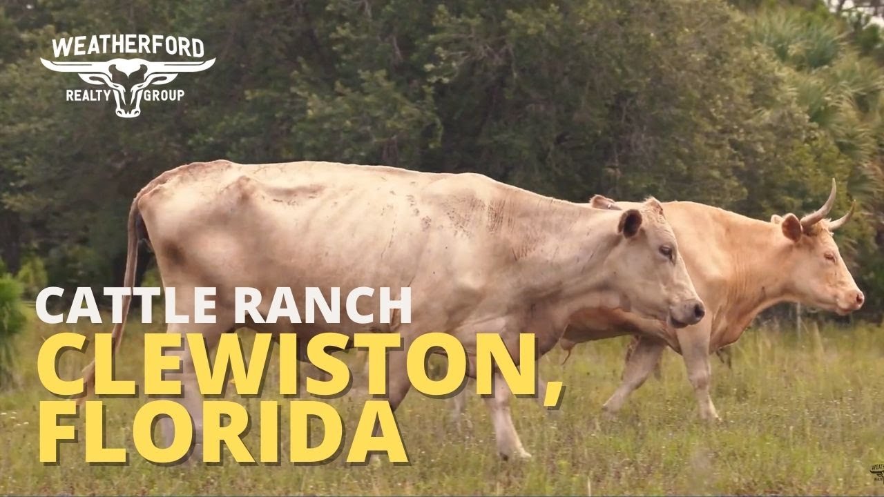1001 Al Don Farming Road - Clewiston, Florida | Cattle Ranch | Florida ...