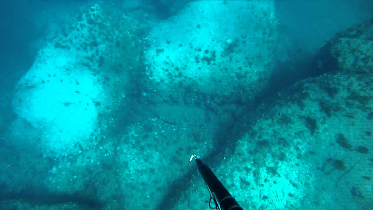 garfish-zargan-Belone belone fishing.mp4 - YouTube