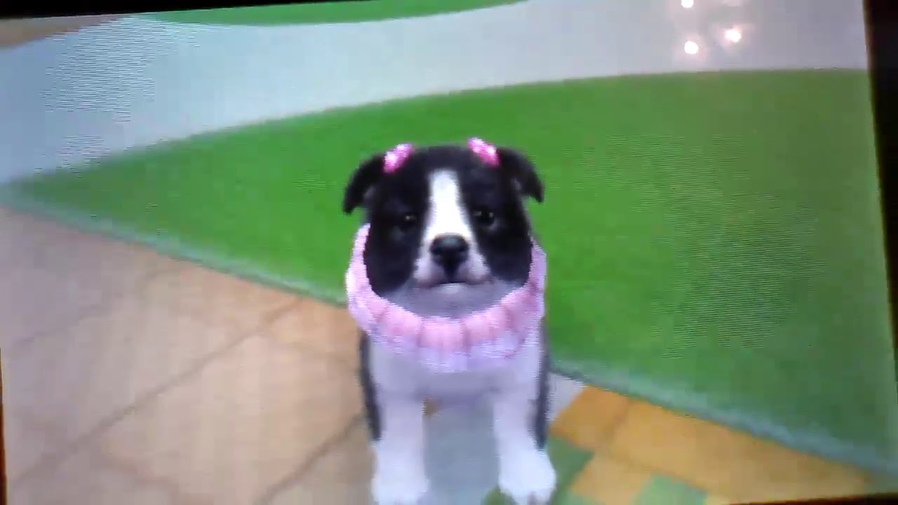 How to teach you dog to Howl - YouTube