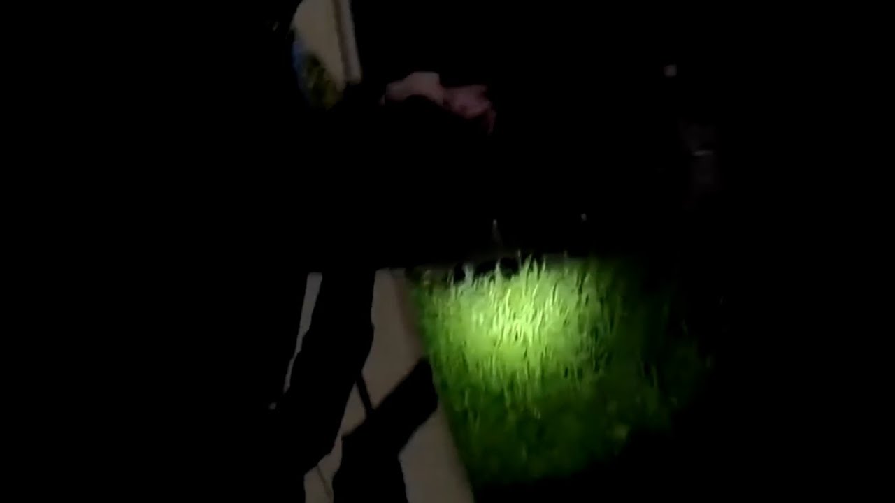 Stephon Clark Shooting, Police Camera Videos - YouTube