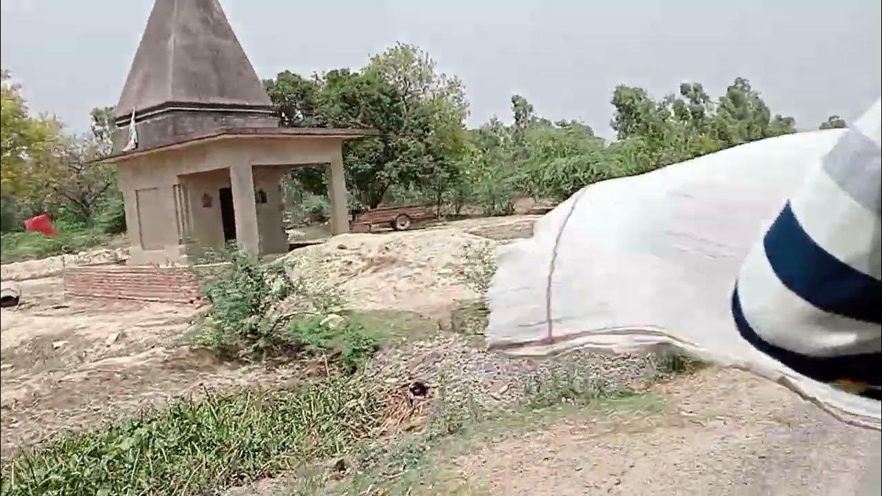 Pashu pakshi ka jungle mein Ren Basera II New VLOG - YouTube