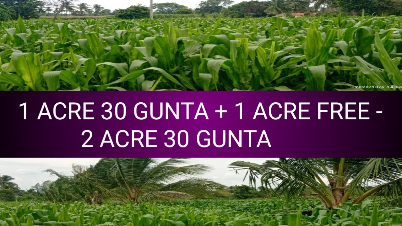 lb)1#Acre#30#Gunta#Extra#1Acre#Free#Land // Subramanya m r // subscribe ...
