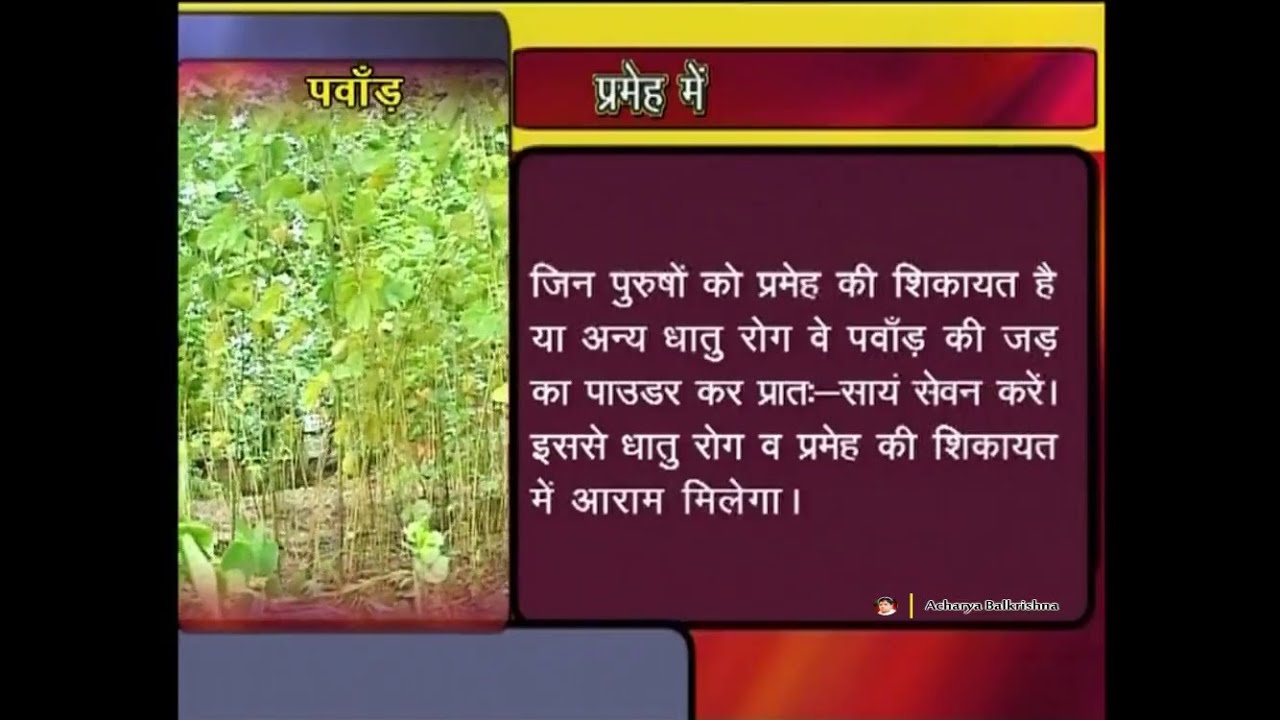 Ayurvedic Benefits of Pawad for Parmeh | Acharya Balkrishna - YouTube