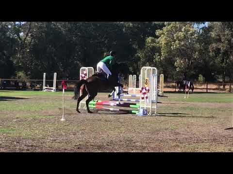 My horse farts every time he jumps