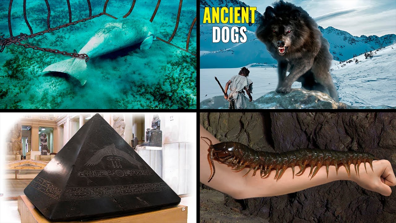 Incredible Discoveries & Amazing Facts | ORIGINS EXPLAINED COMPILATION ...