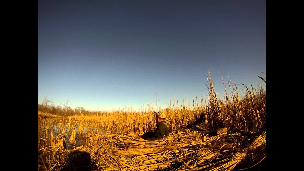 Go pro Mike Bowen Drake in corn south farm - YouTube