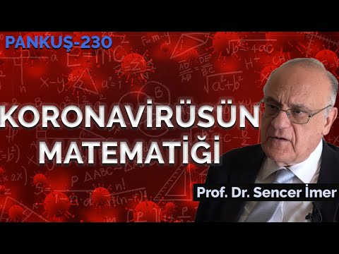 KORONA MATEMATİK HESABI: ŞEHİR ŞEHİR RAKAMLAR VE TEPE NOKTASI | SENCER İMER | PANKUŞ -230