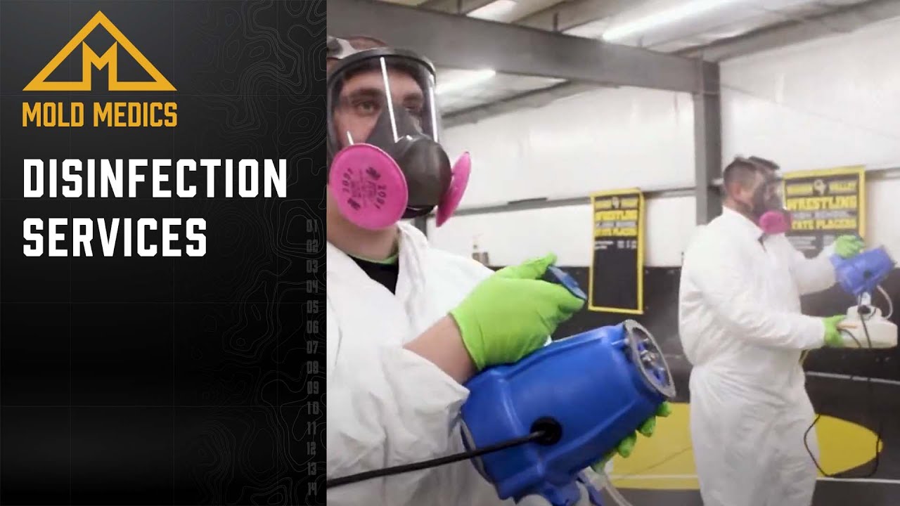 Mold Medics Disinfection Services - YouTube