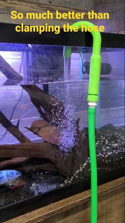 Python Hook Is A Gamechanger #aquarium #fish #cichlids #waterchange # ...