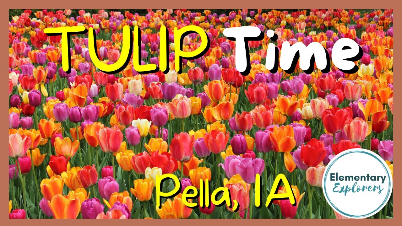 Tulip Time & Dutch Letters at Jaarsma Bakery - Vermeer Windmill - Pella ...