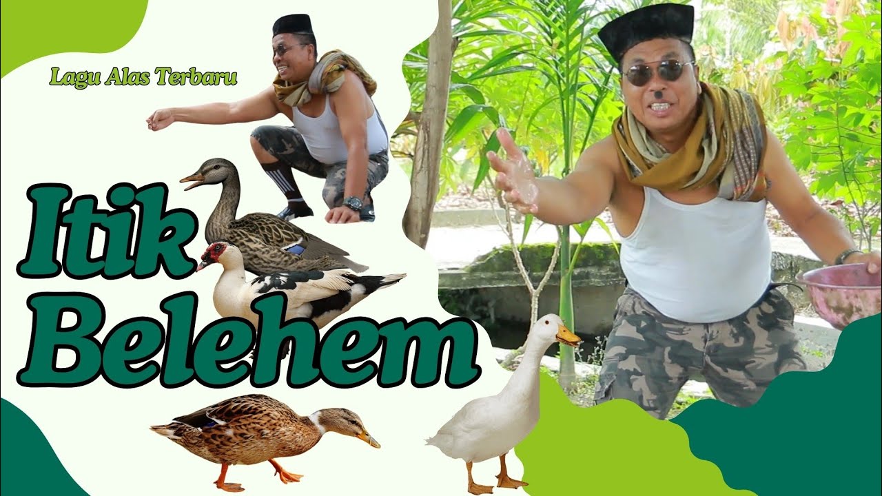 Lagu Alas Terbaru 2024 - Itik Belehem - Music Video Official - YouTube