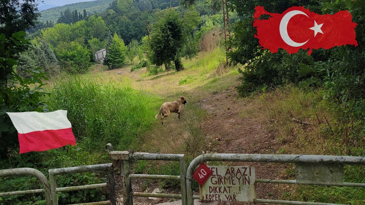 Polish Village in Turkey?! (Polonezköy, Türkiye) 🇹🇷 🇵🇱 - YouTube