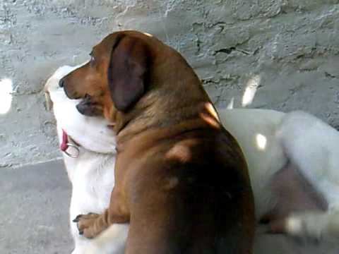33333333333 - YouTube