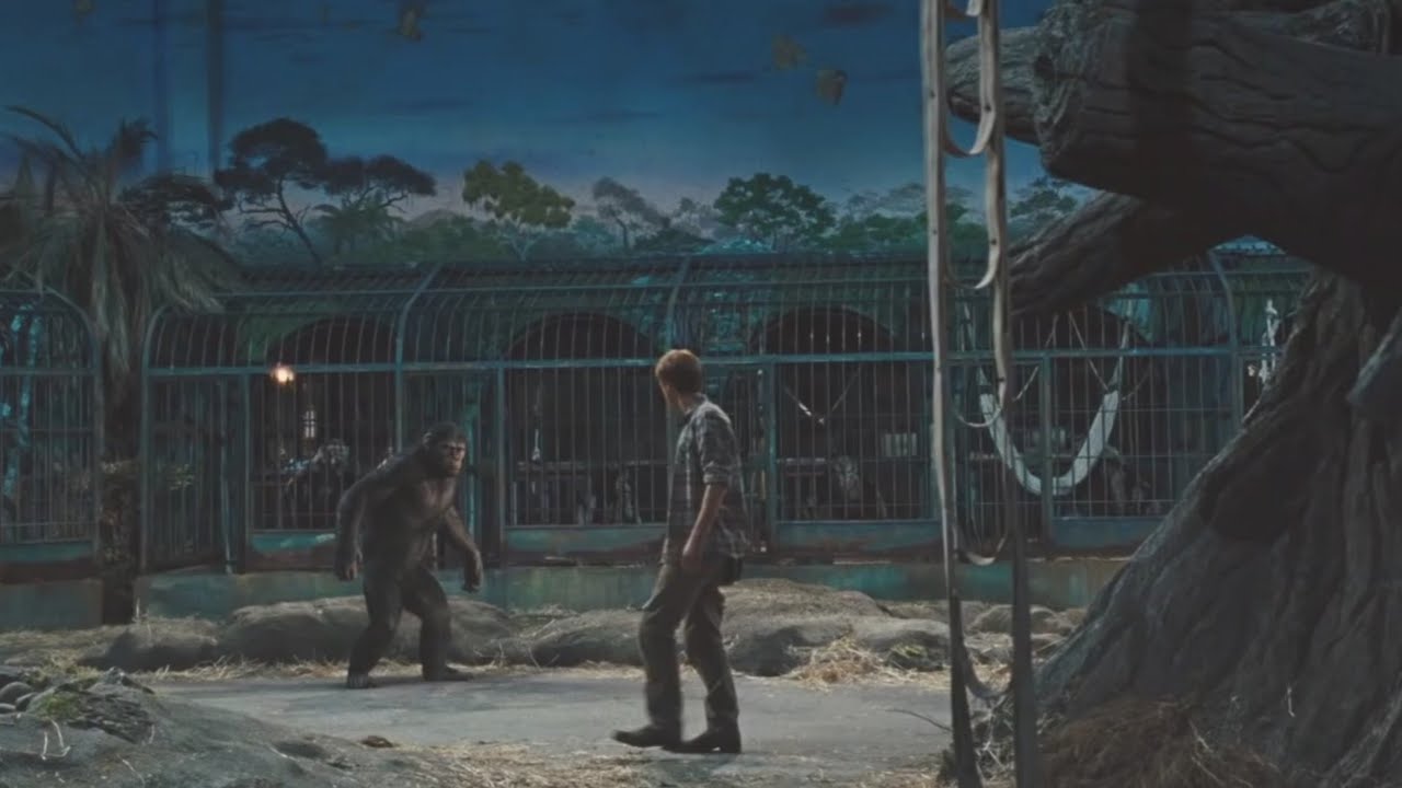 Caesar Says ''No!'' - Prison Break - Rise of the Planet of the Apes ...