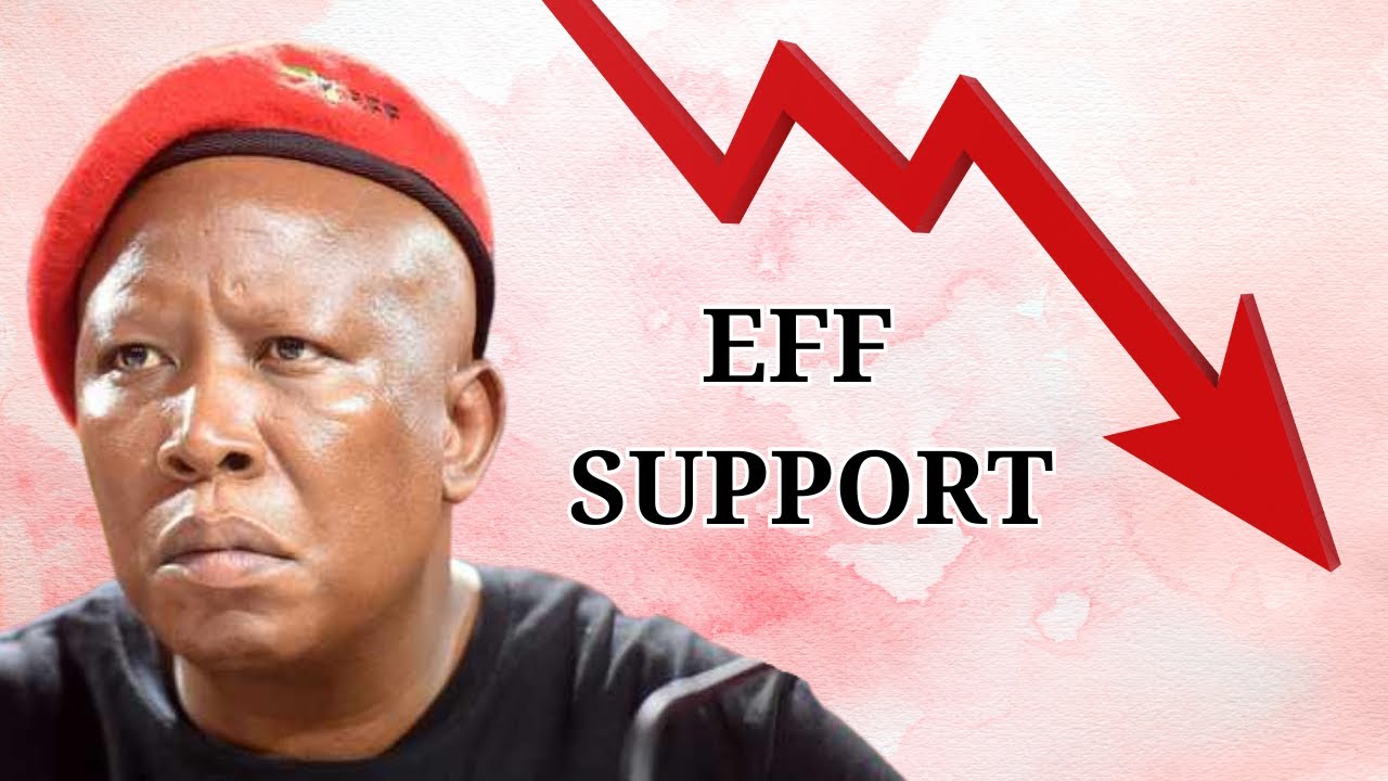 Will the EFF Survive The Elections? - YouTube