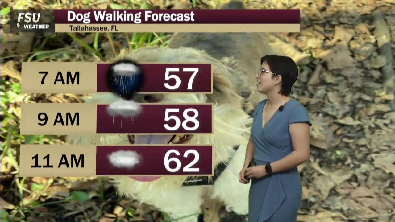 FSU Weather - Monday, January 22, 2024 - YouTube