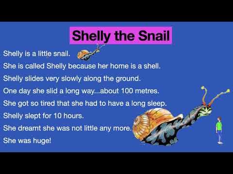 shelly the snail - YouTube
