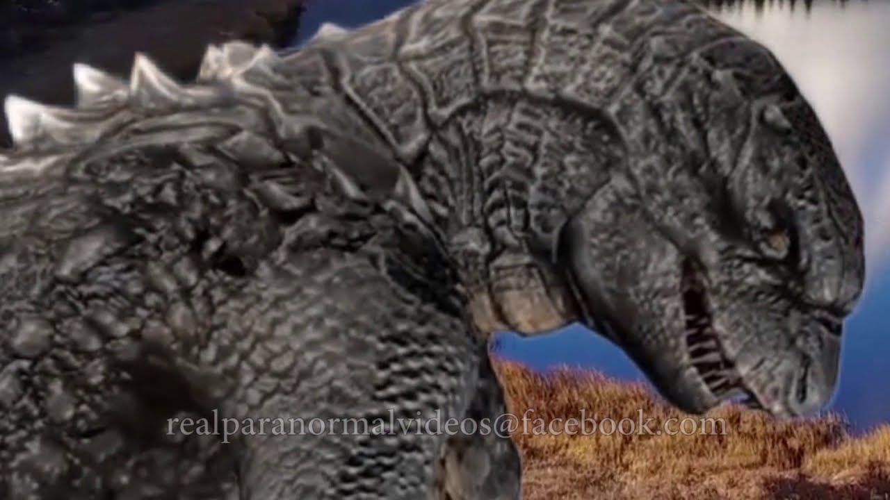 5 GODZILLA In Real Life Sightings 2021 - YouTube