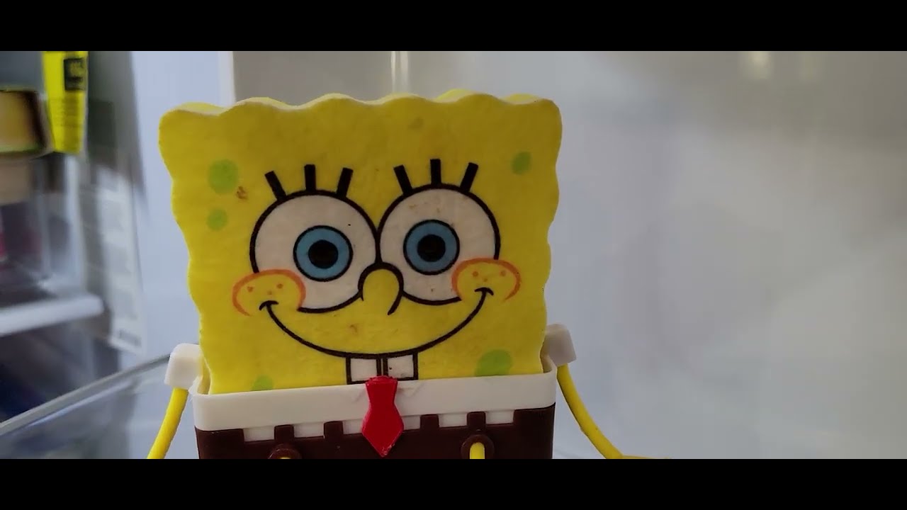 What Is SpongeBob Sitting On? - YouTube