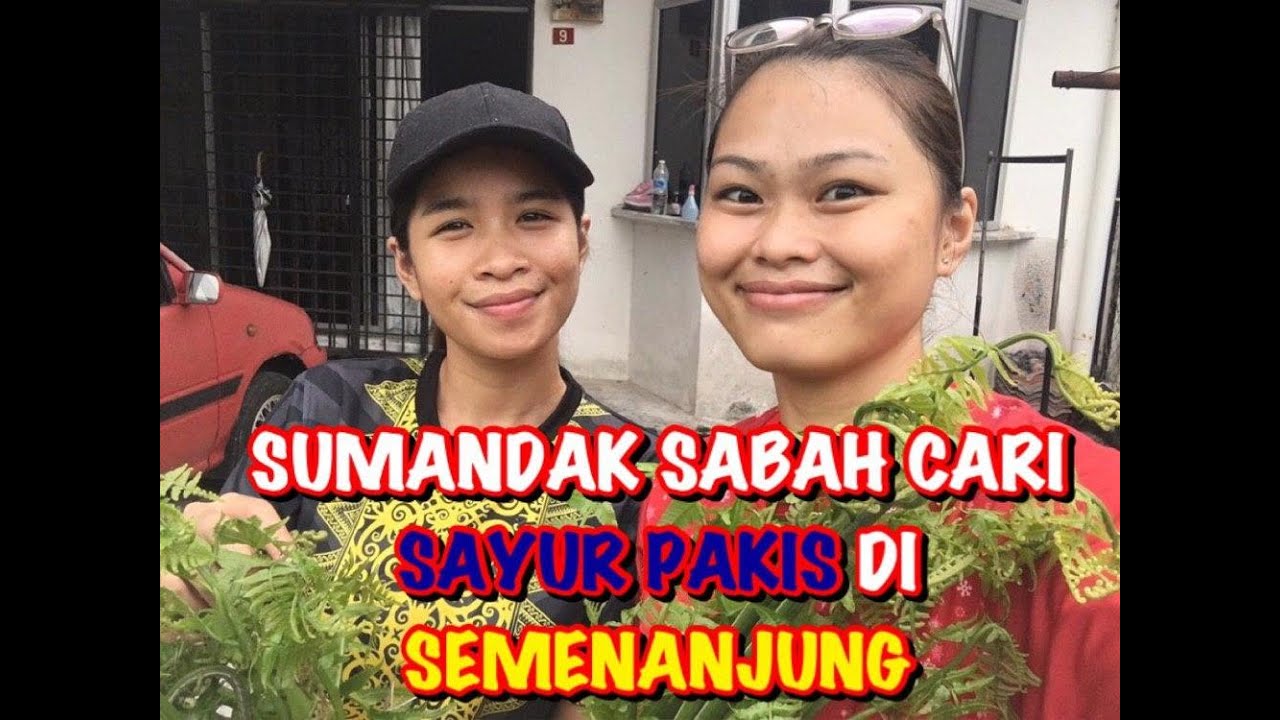 SUMANDAK SABAH MENCARI SAYUR PAKIS DI TANJUNG MALIM || PERAK - YouTube