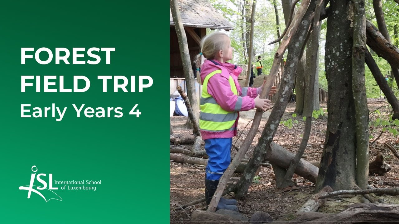 Forest Field Trip - Early Years - YouTube