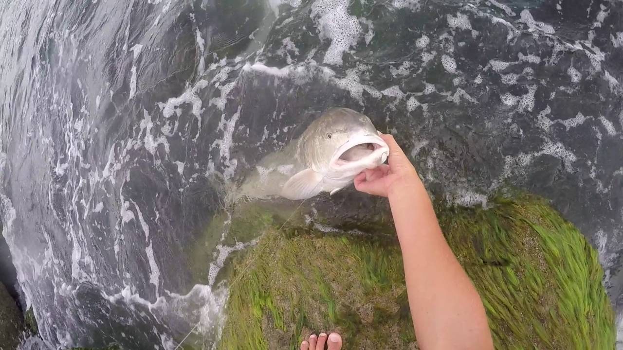 Extreme Jetty Fishing Destin Fl - Redfish - Shark - YouTube