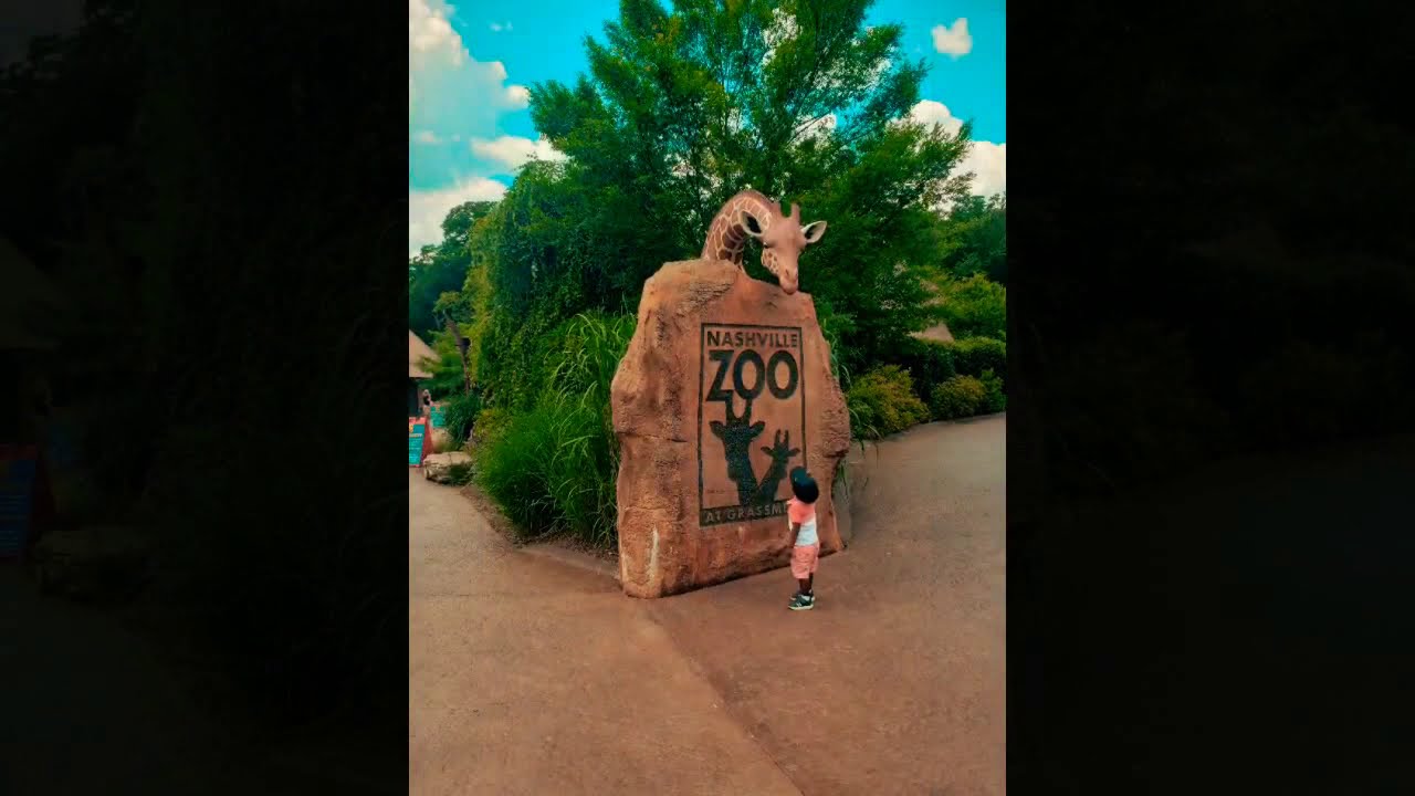 omari day at the zoo - YouTube