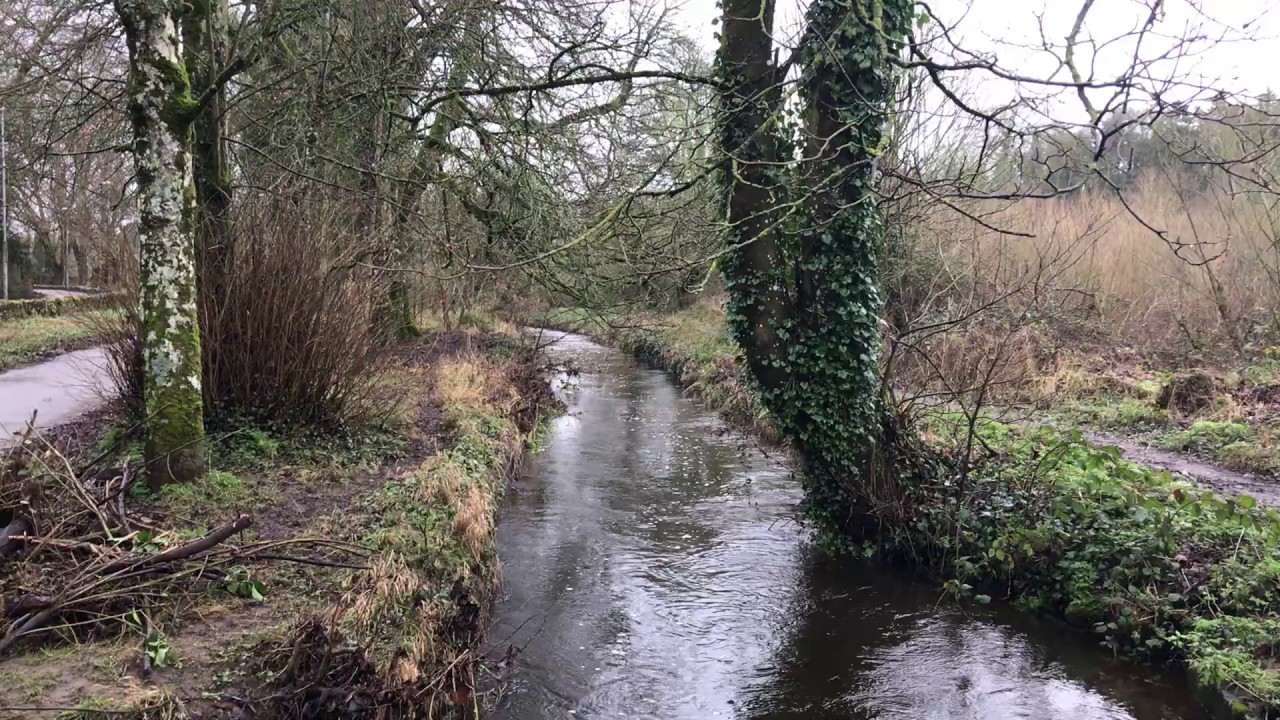 Roadtrip Ireland - Forest Stream - Kilkenny - YouTube