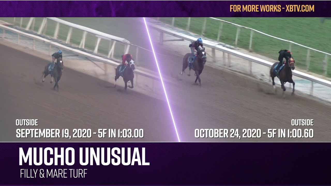 Millie Ball zeroes in on Mucho Unusual for this side by side bullet ...