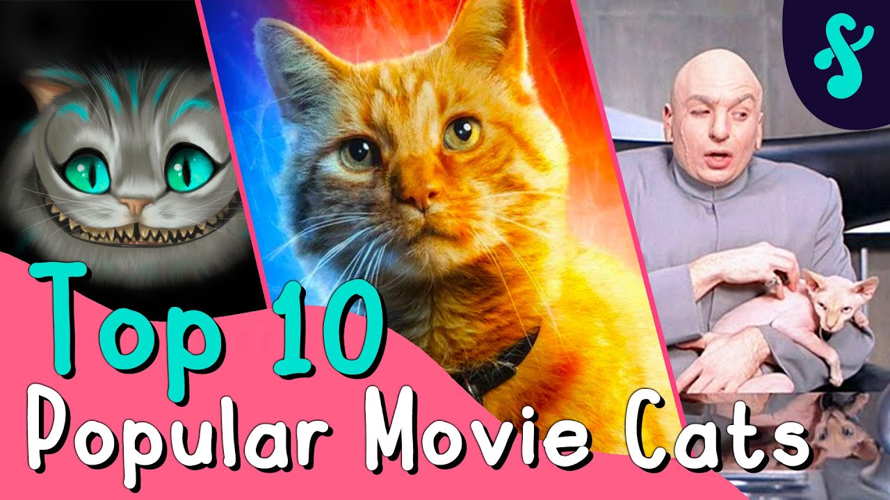 🎬Top 10 Popular Movie Cats | Furry Feline Facts 🍿 - YouTube