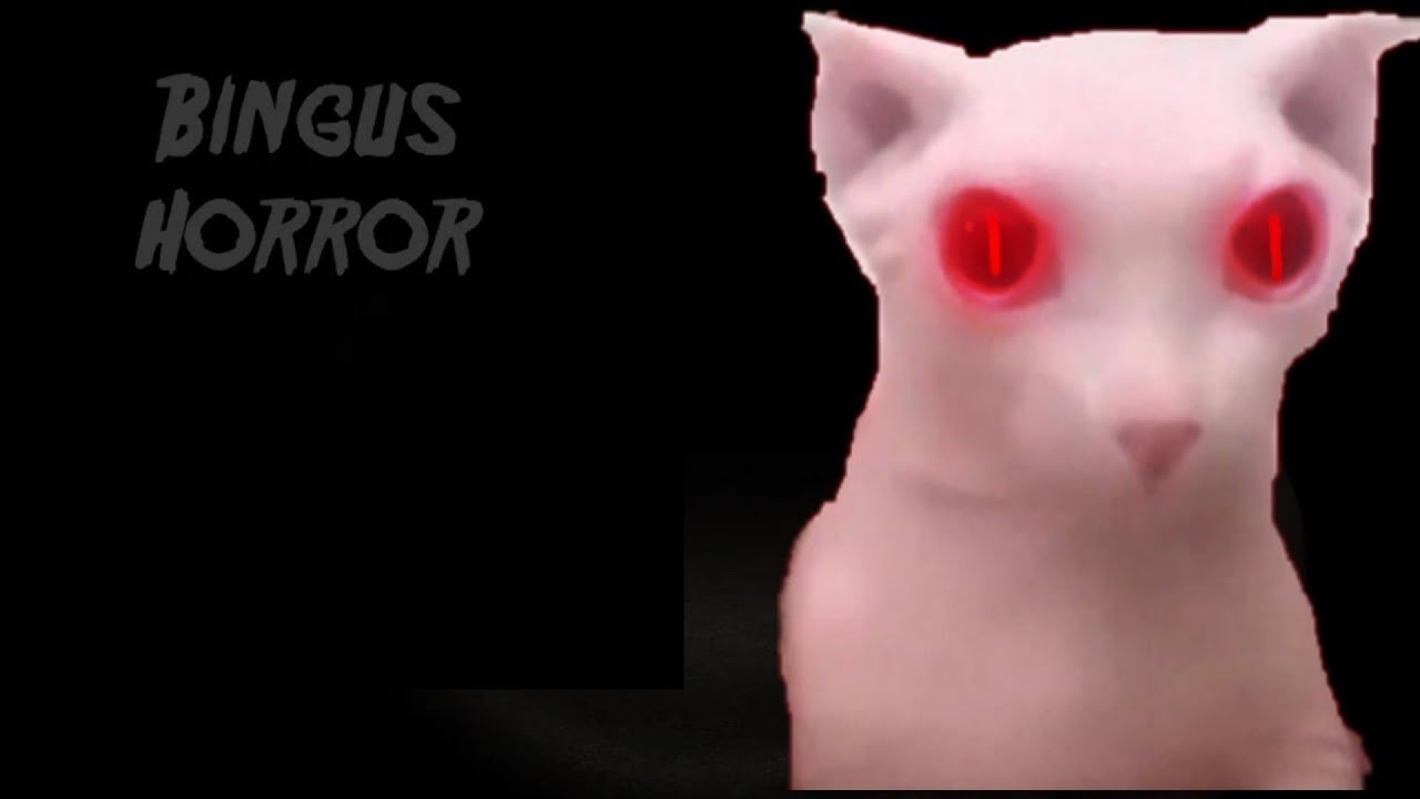 || Bingus Horror Game Android Full Gameplay - YouTube