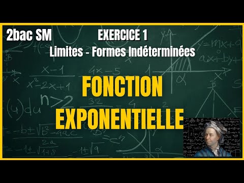 Fonction Exponentielle - Limites - Formes Indéterminées - Exercice 1 ...