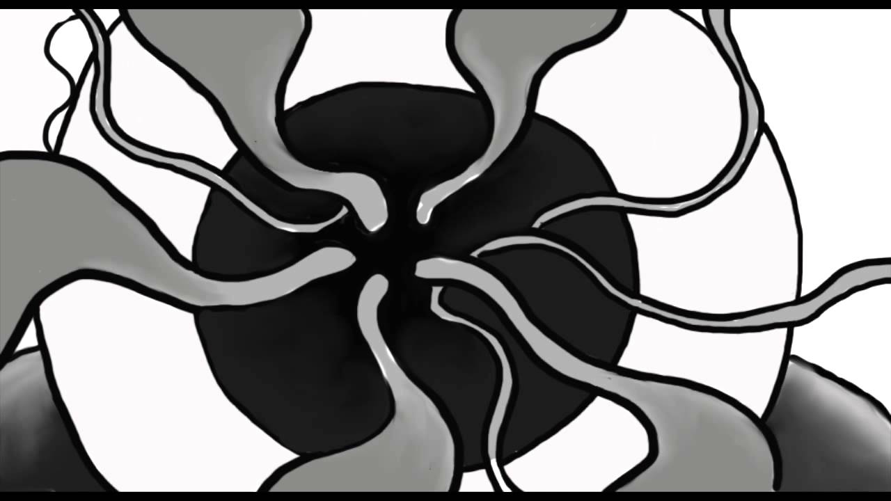 jellyfish overhead - YouTube