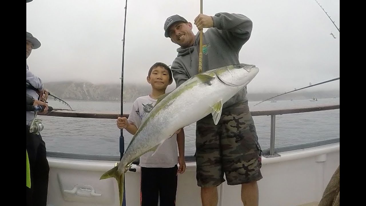 Kids Catch - Yellowtail Fishing at Santa Cruz Island on the Aloha ...
