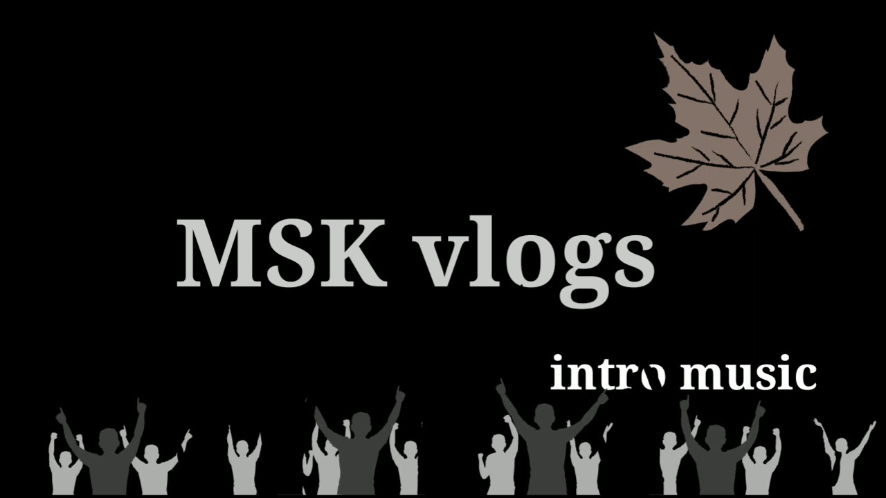 MSK vlogs intro music ||song|| - YouTube