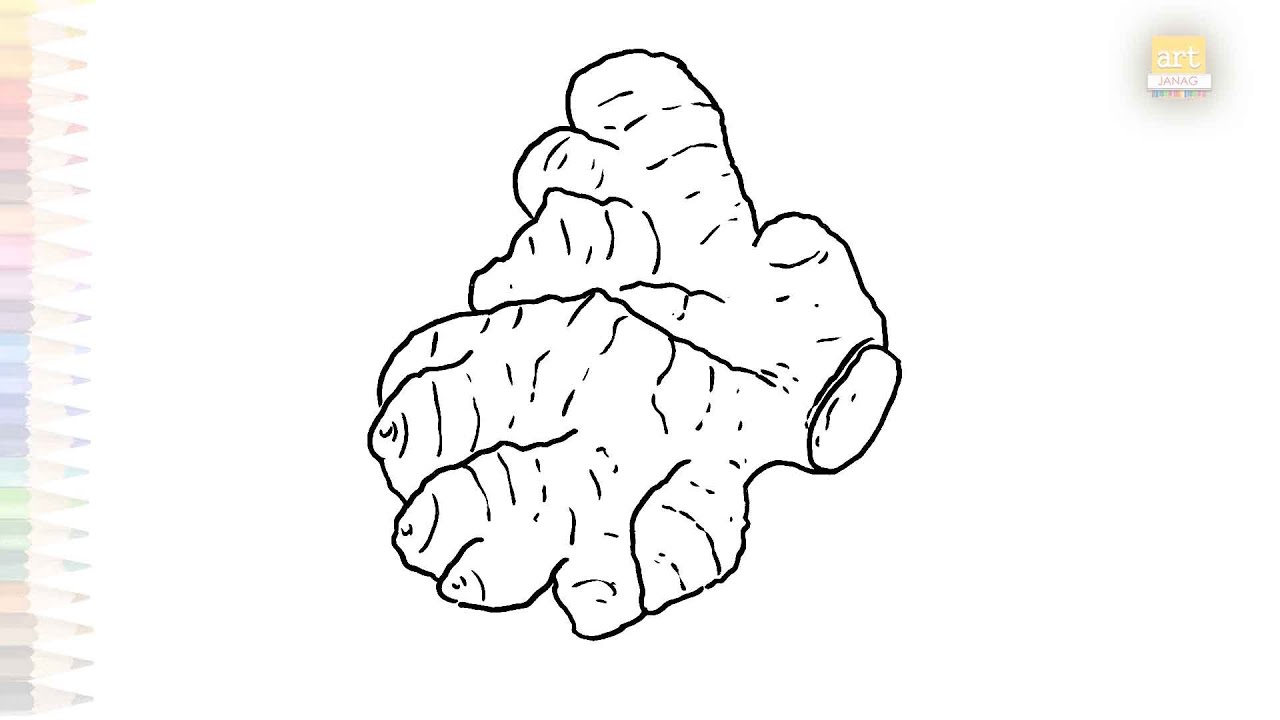 Ginger drawing easy | Art tutorial | How to draw A Ginger step by step ...