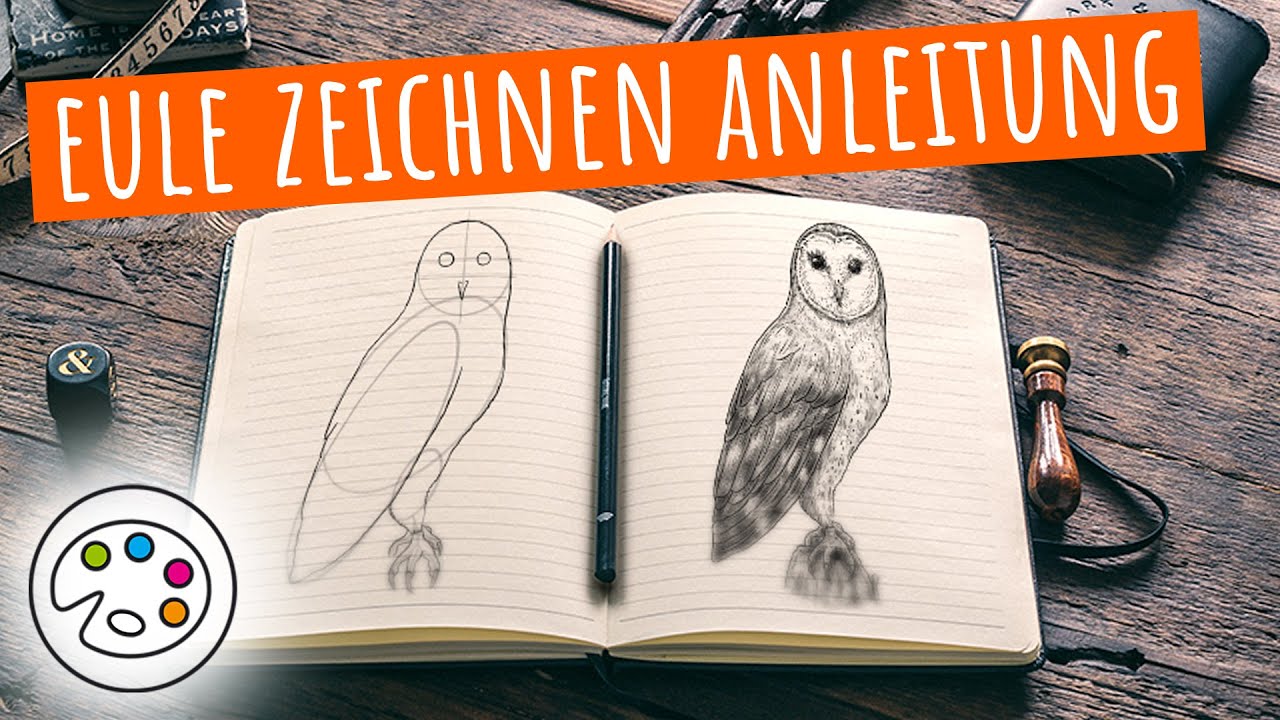 Eule zeichnen – Einfache Anleitung um eine realistische Eule zu malen ...