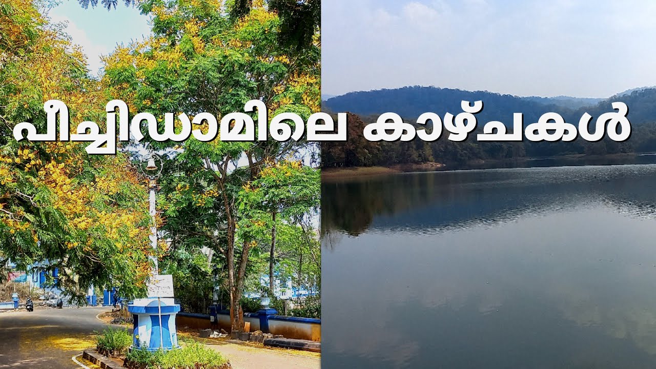 peechidam thrissur | peechi vazhani wildlife sanctuary| thrissur - YouTube