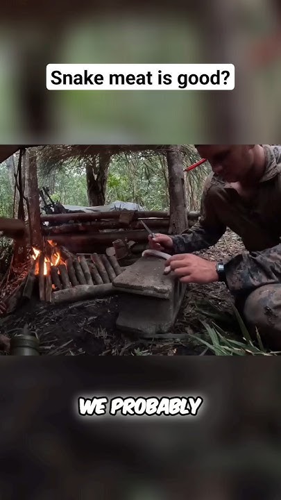 What Does A Snake Taste like?#fyp #food #camping #army #marine # ...