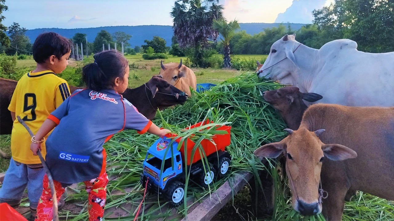 Watch These Baby Kids vs Cows Eating Grass and You'll Be Laughing Out ...